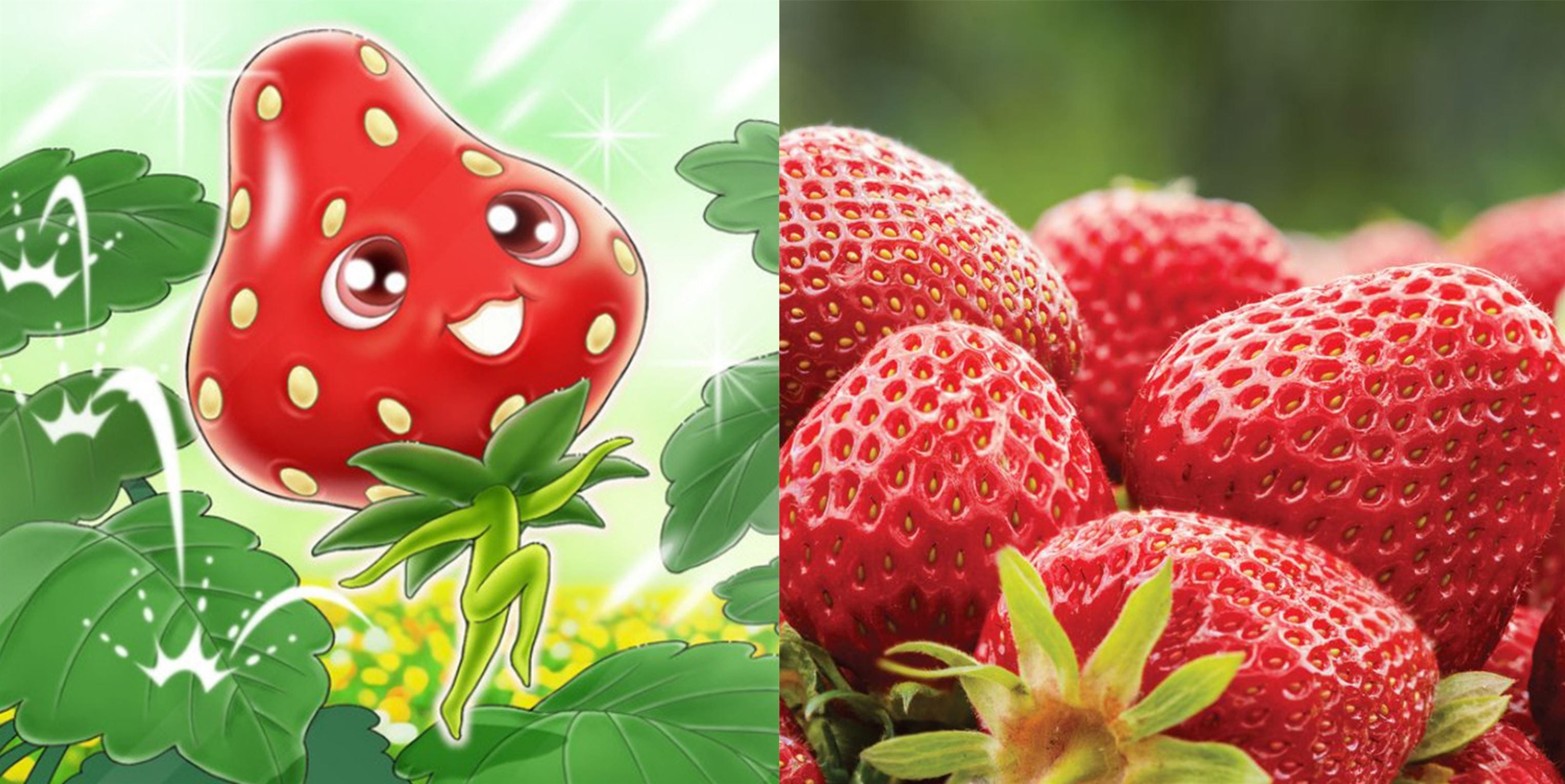 Naturia: Thế giới thiên nhiên diệu kì-phần 2:Thực vật